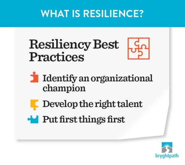 What is Resilience? - Bryghtpath What is Resilience? - Bryghtpath