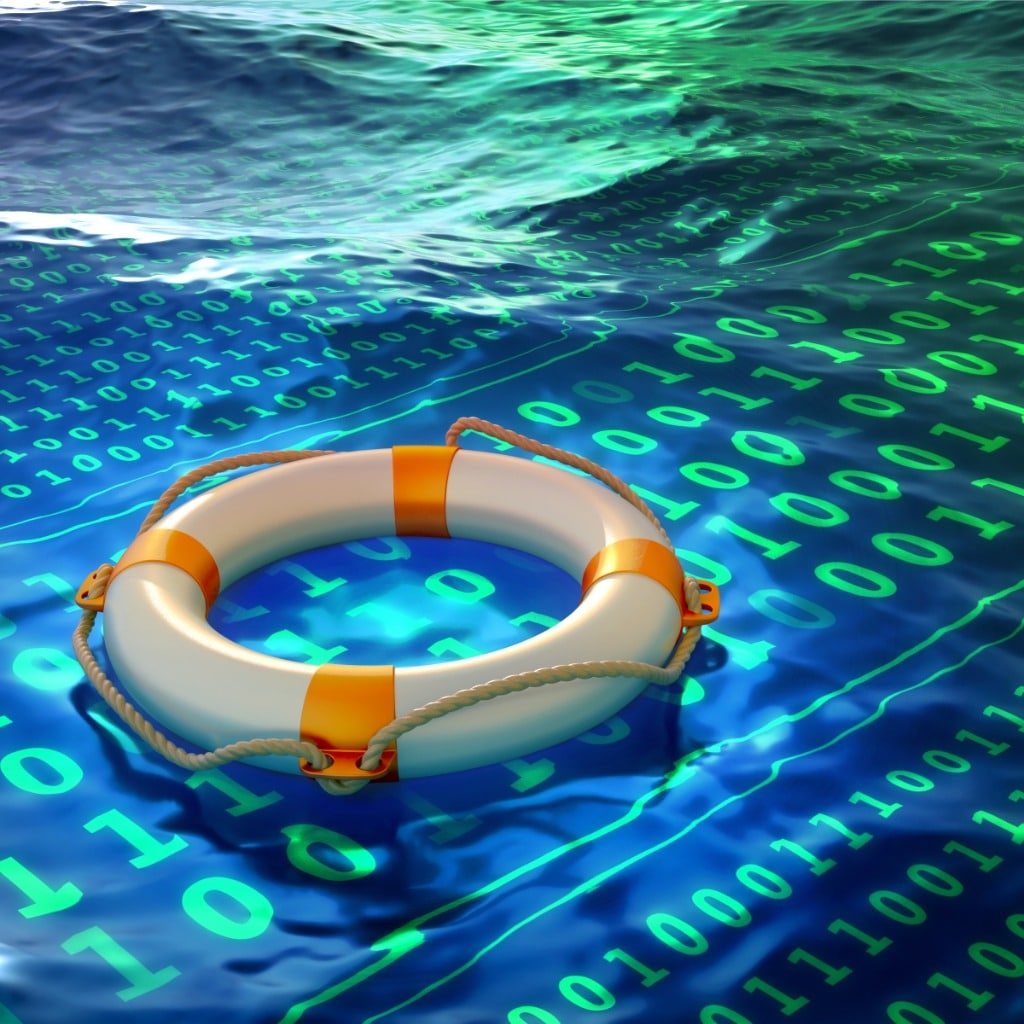 Strategic Maturity for IT Disaster Recovery at a leading US Non-Profit ...